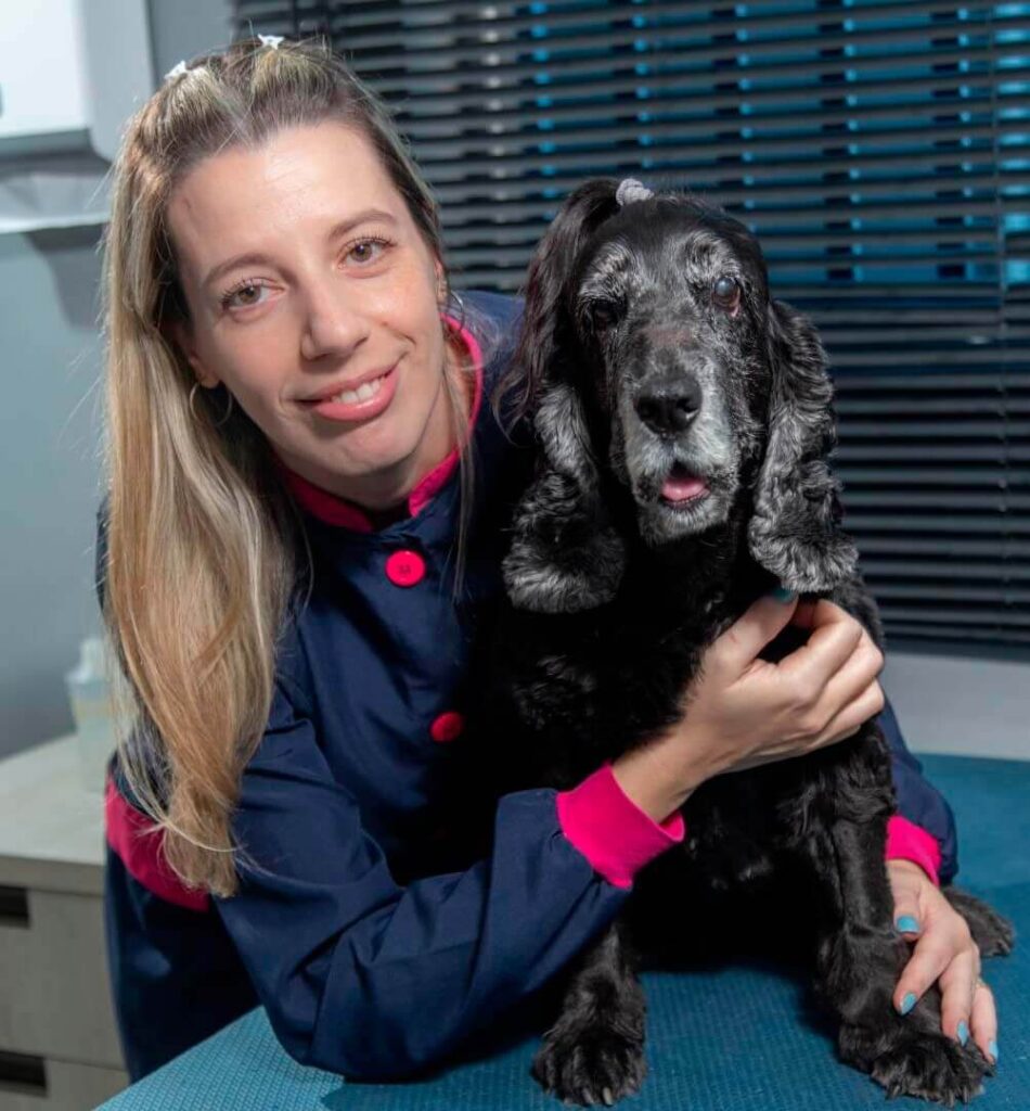 Oncologia Veterinária - Clínica Veterinária Dermathica